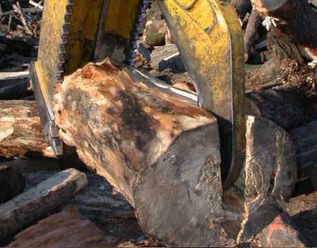 Nye Stump Harvesters/ Stump Shear/ Wood Shear | Find the Right Tool For ...