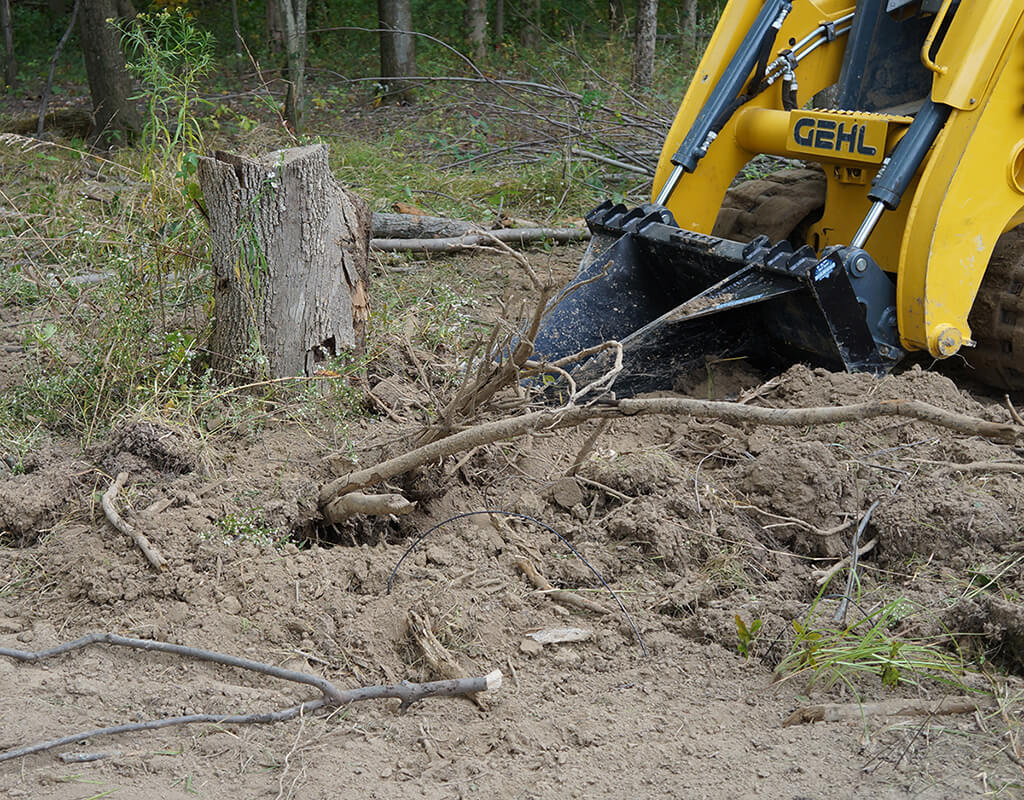 Blue Diamond Stump Bucket | Find the Right Tool For the Right ...