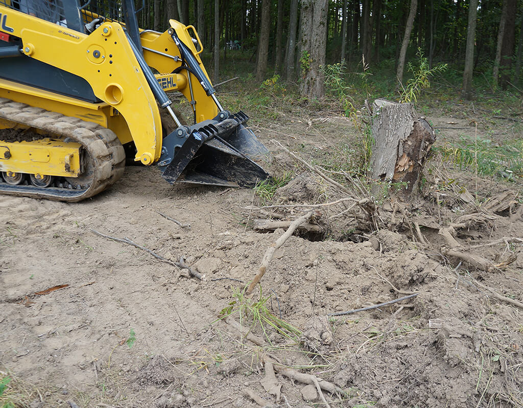 Blue Diamond Stump Bucket | Find the Right Tool For the Right ...
