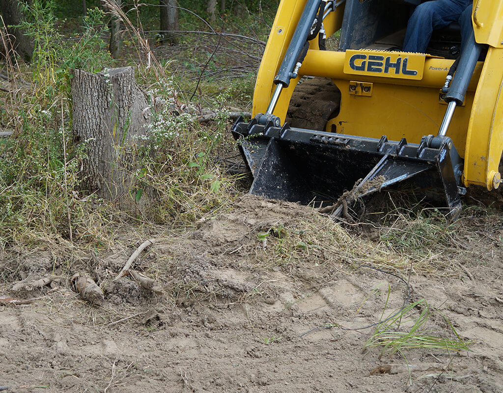 Blue Diamond Stump Bucket | Find the Right Tool For the Right ...