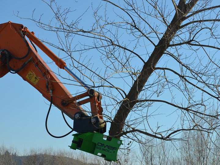 Omef Tree Shear | Find the Right Tool For the Right Application ...